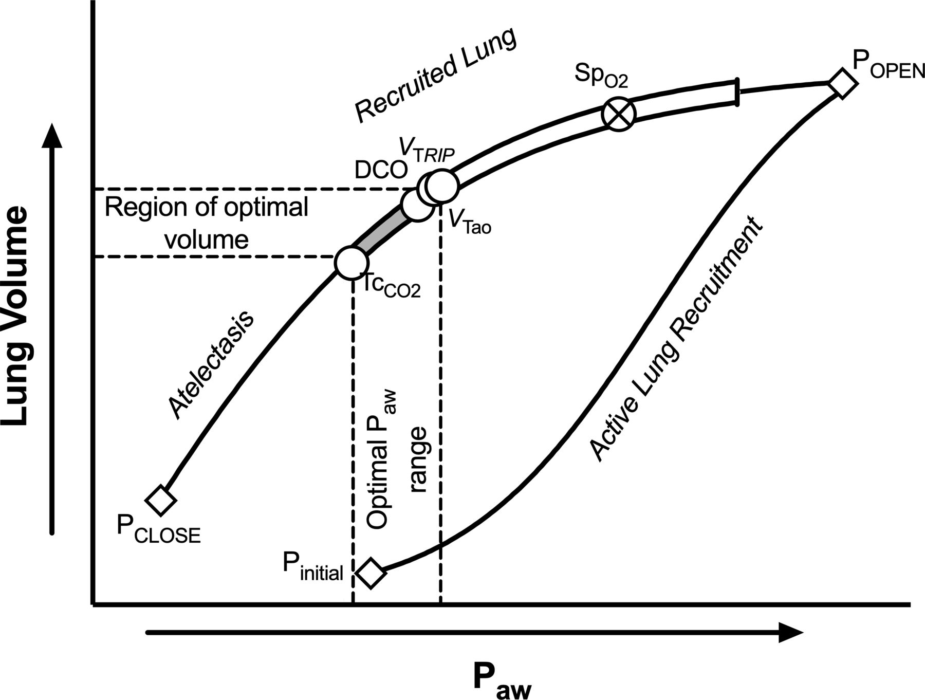 Neonatal high-frequency oscillatory ventilation: where are we now ...